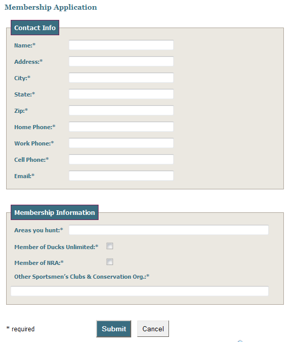 Efficion Consulting - DotNetNuke, ASP.NET, Web Development Blog